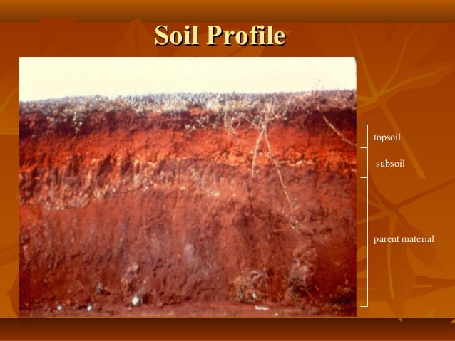 Hawaii conservation Awareness 2006 Presentation