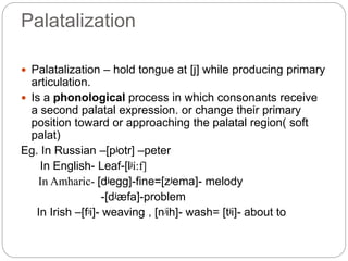 Gebreiyesus Mekt at Hawassa university | PPT