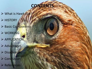 Hawkeye | PPTX