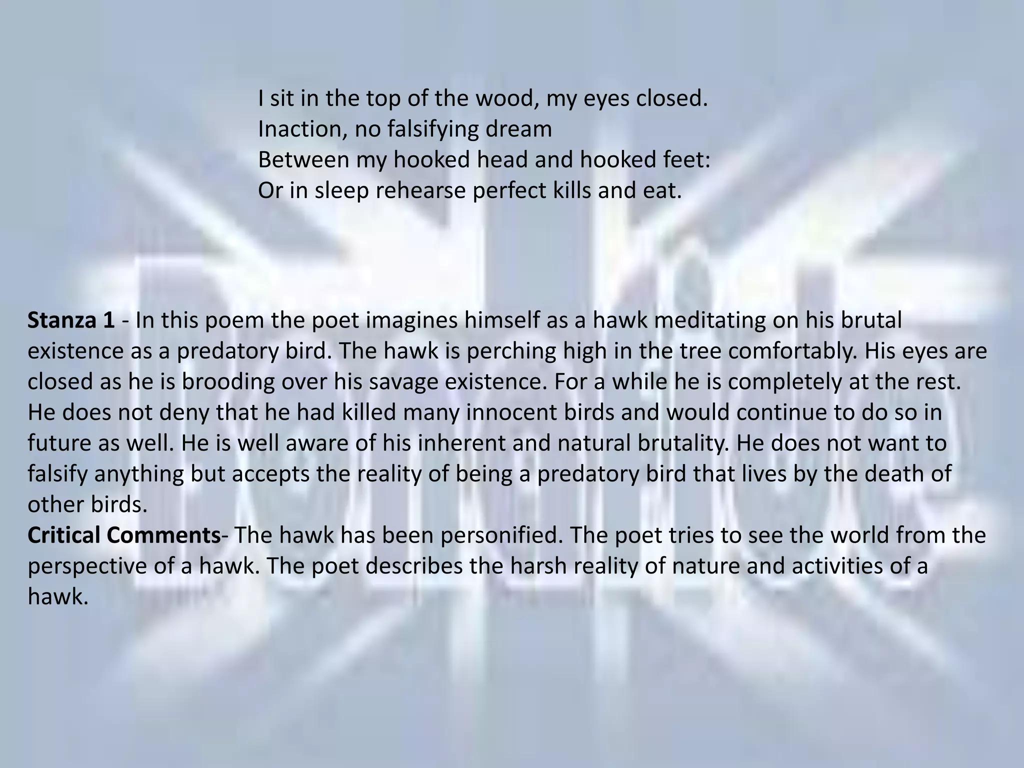 Hawk roosting | PPTX | Birds | Pets