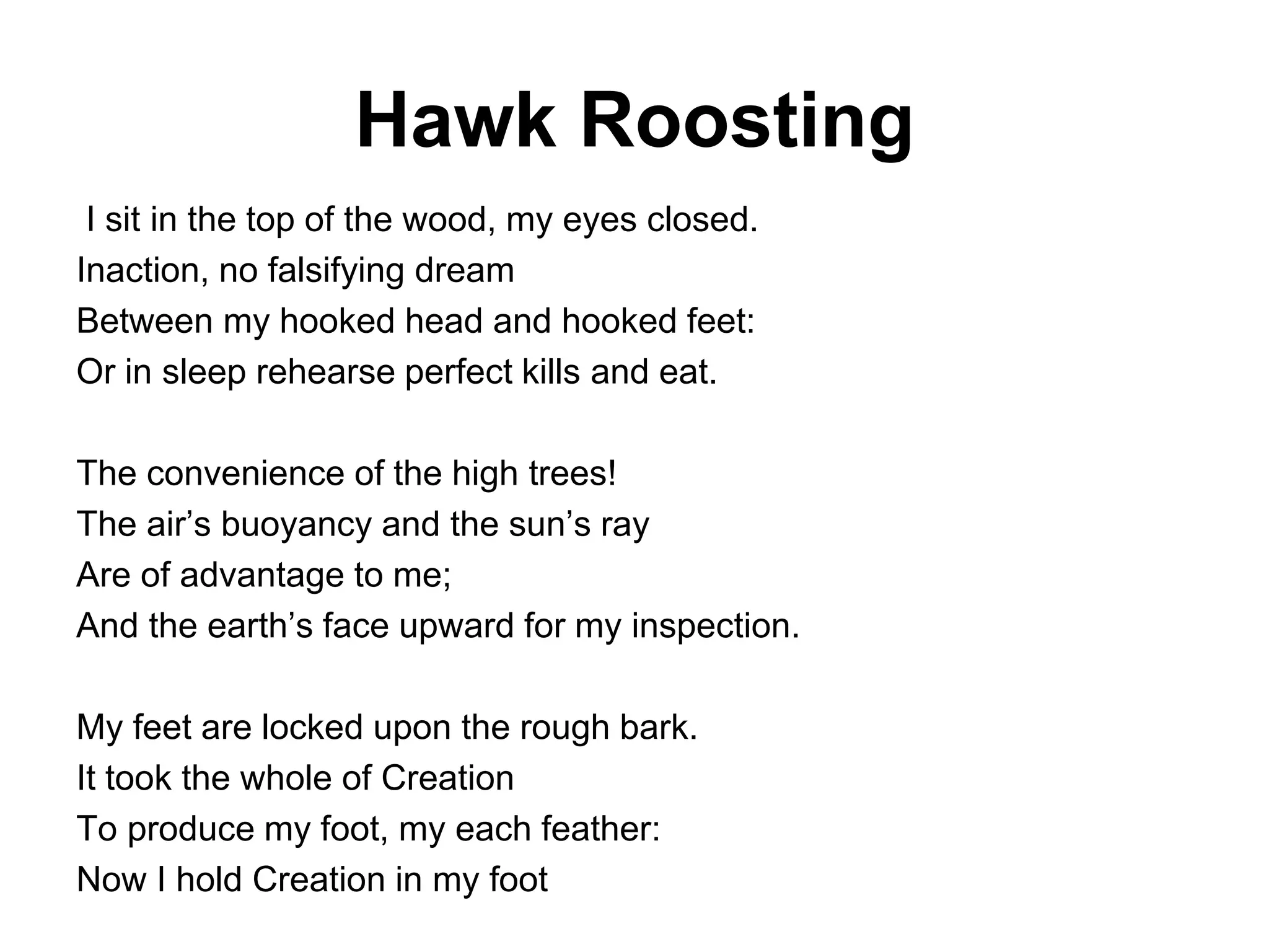 Hawk roosting revision information | PPTX | Birdwatching | Hobbies & Interests