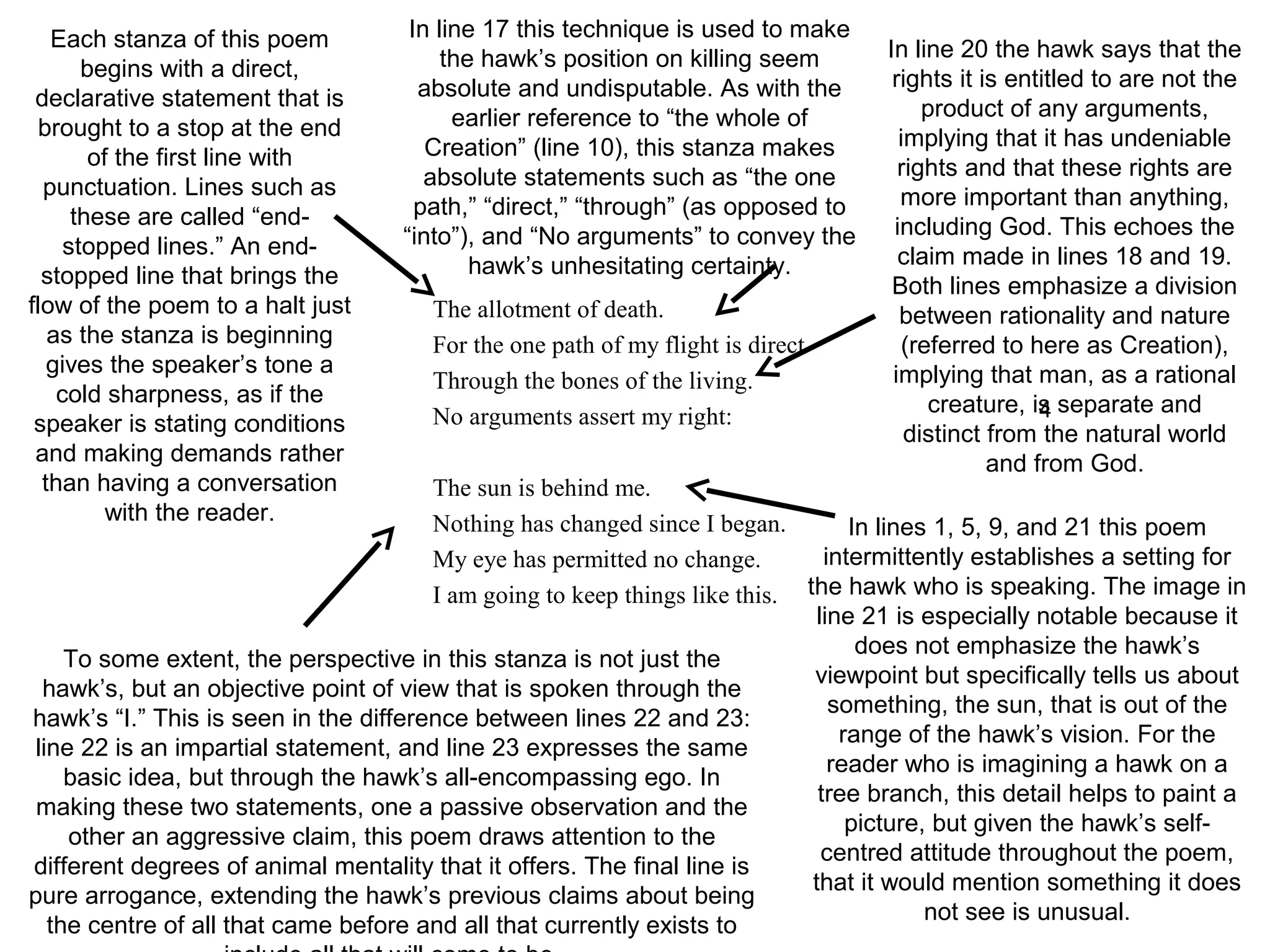 Hawk Roosting by Ted Hughes | PPT