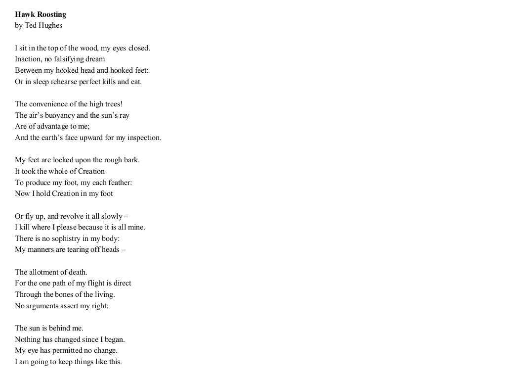 Hawk Roosting by Ted Hughes