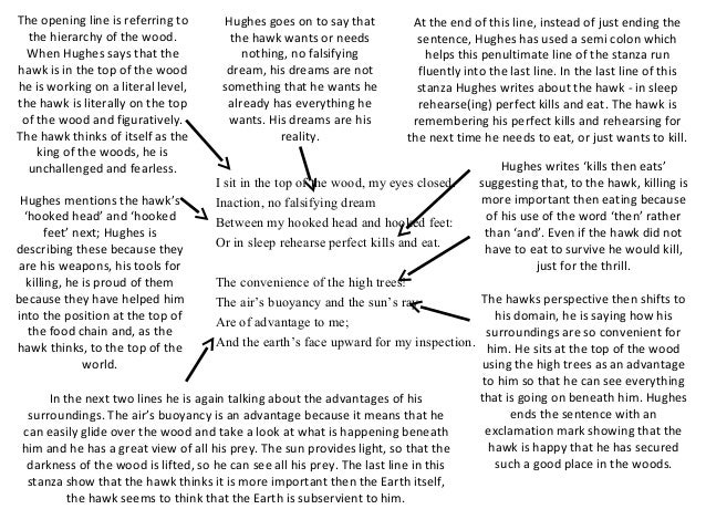 Hawk Roosting by Ted Hughes