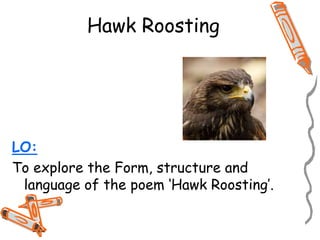 Hawk Roosting | PPTX