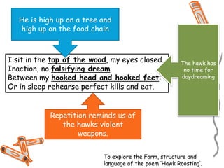 Hawk Roosting | PPTX