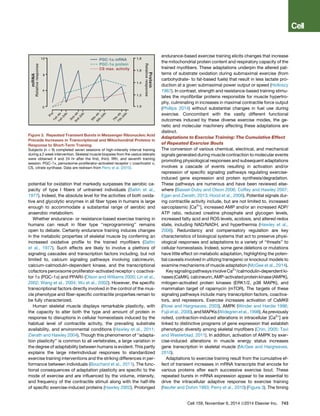 Hawley et al., 2014.pdf................. | PDF