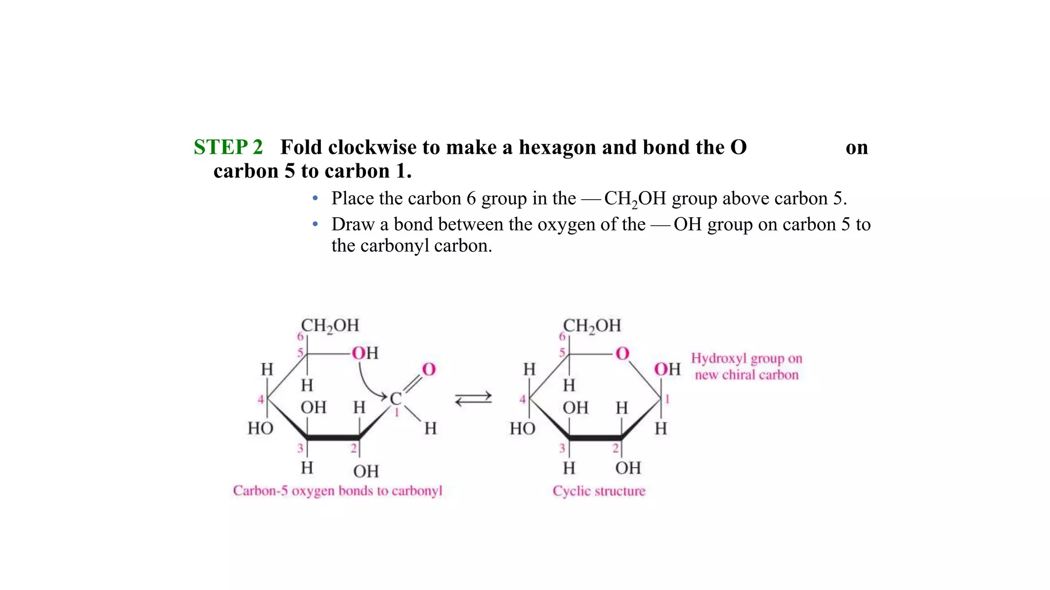 Haworth Structures of Monosaccharides | PPTX