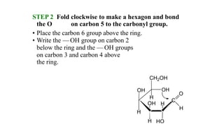 Haworth Structures of Monosaccharides | PPTX
