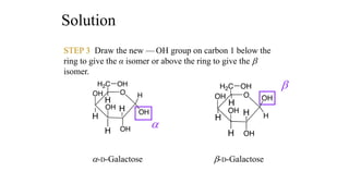 Haworth Structures of Monosaccharides | PPTX