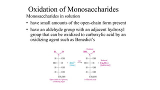 Haworth Structures of Monosaccharides | PPTX