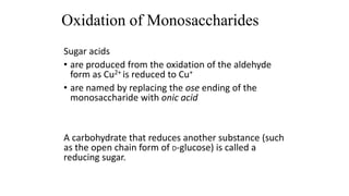 Haworth Structures of Monosaccharides | PPTX