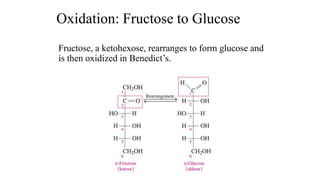 Haworth Structures of Monosaccharides | PPTX