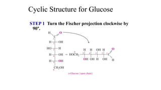 Haworth Structures of Monosaccharides | PPTX