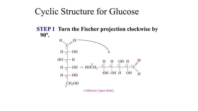 Haworth Structures of Monosaccharides | PPTX