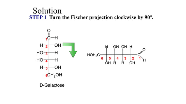 Haworth Structures of Monosaccharides | PPTX