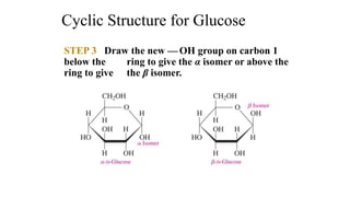 Sorbitol Ring Structure