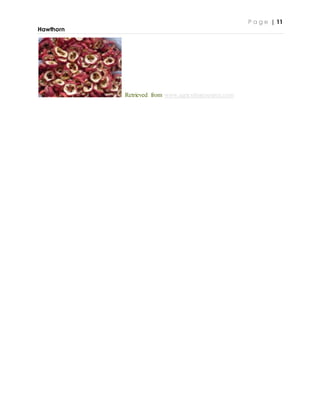Hawthorn as an Anti-inflammatory for ADHD managment | DOCX