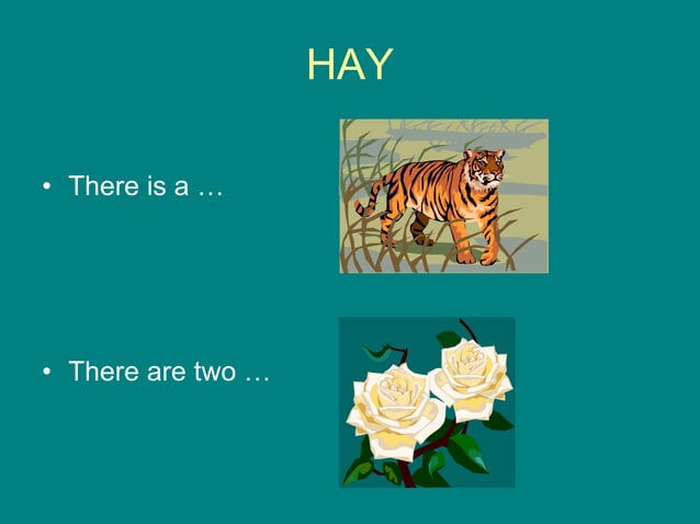 Hay | PPT