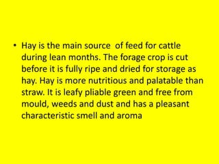 Hay-making.ppt
