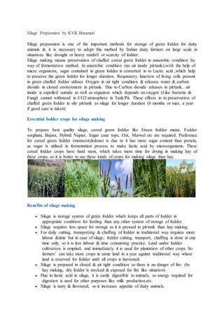 Hay and silage | DOCX