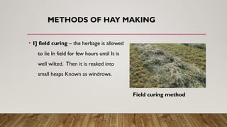 hay and silage making for farm animals2.pptx