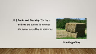 hay and silage making for farm animals2.pptx