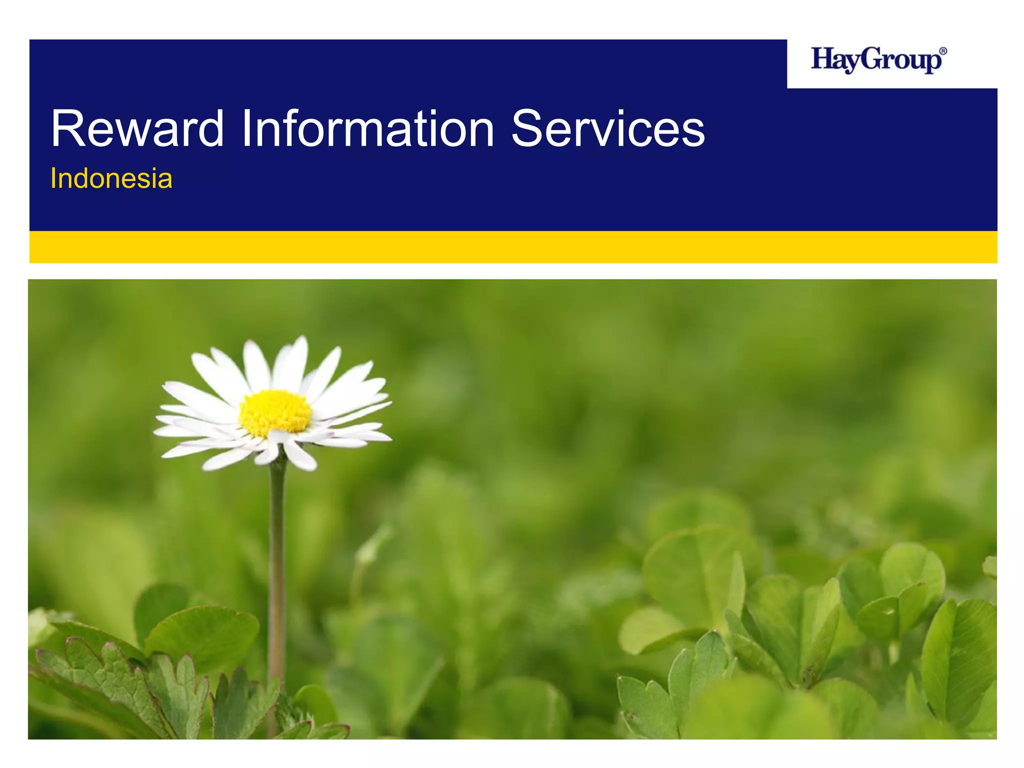 Hay group reward information services | PDF