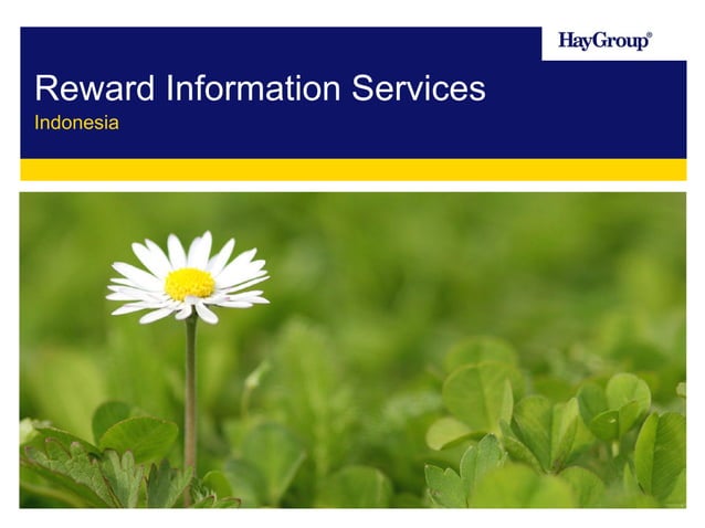 Hay group reward information services | PDF | Europe Travel | Travel ...