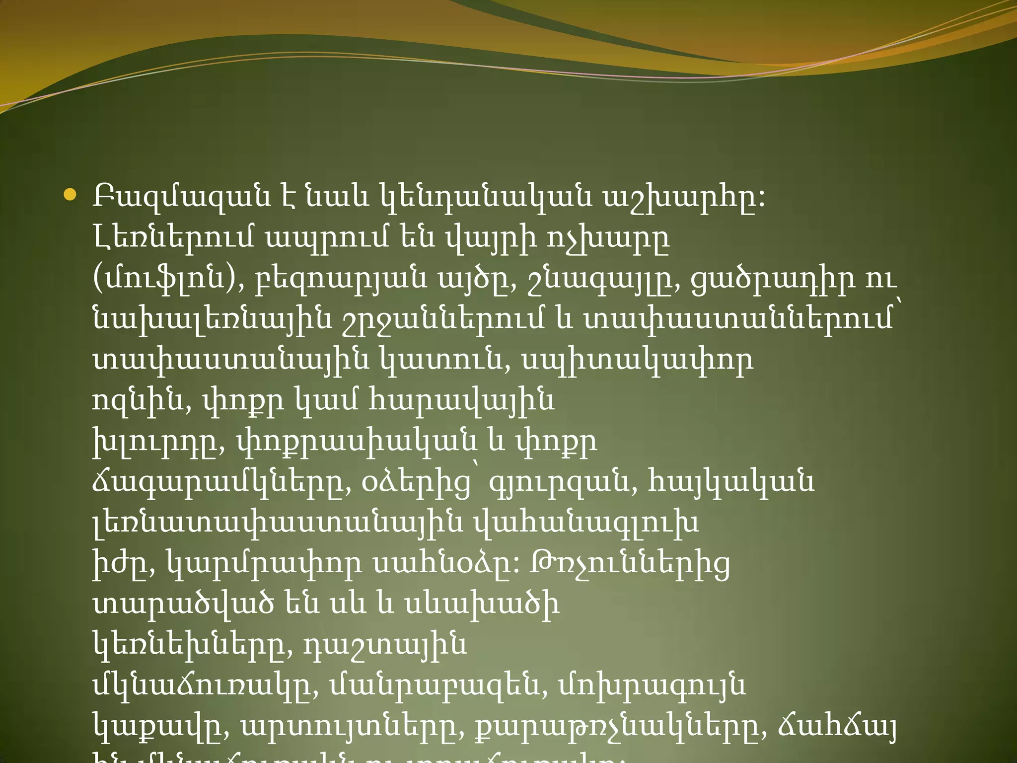 Haykakan lernashxarh | PPTX