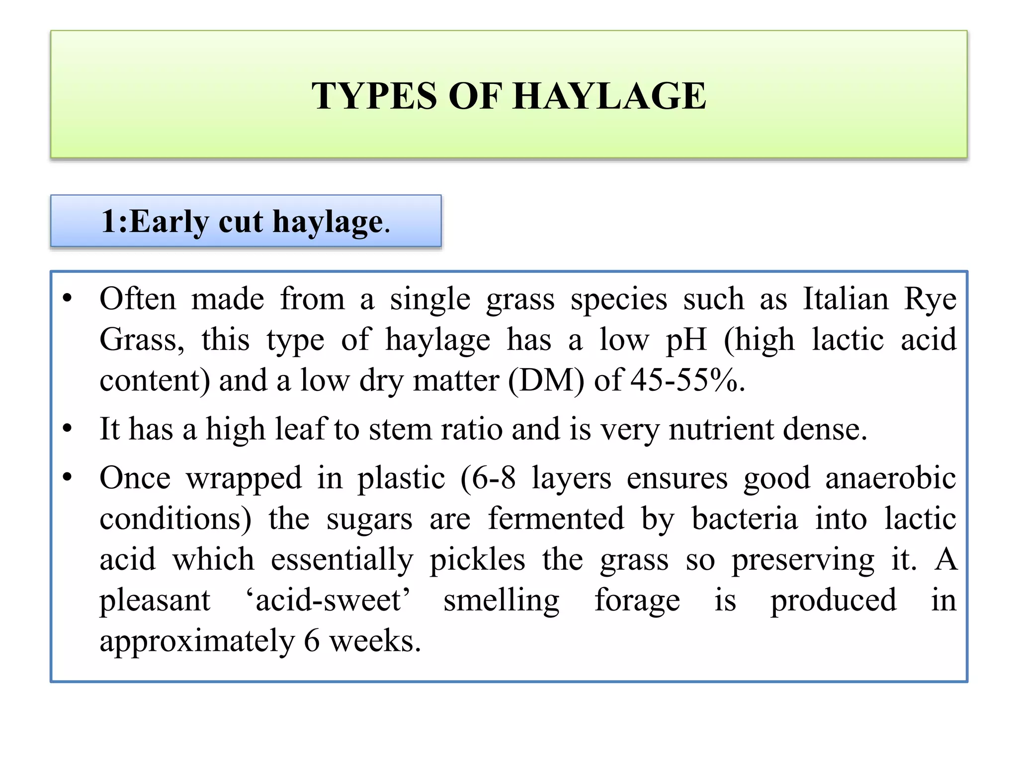 Haylage | PPTX