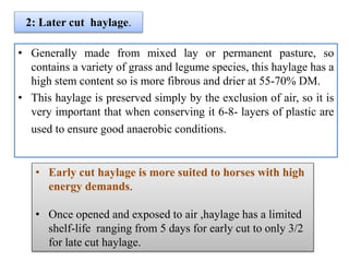 Haylage | PPTX