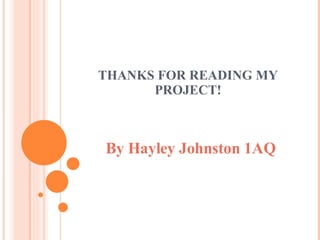 Hayley Designers | PPT