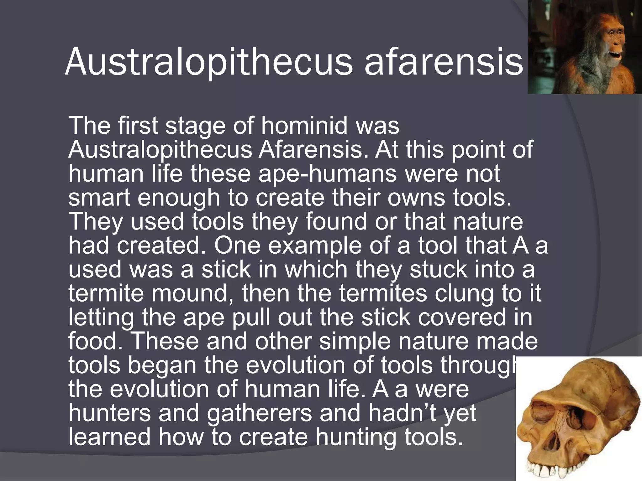 Hayley_ tools through the ages | PDF