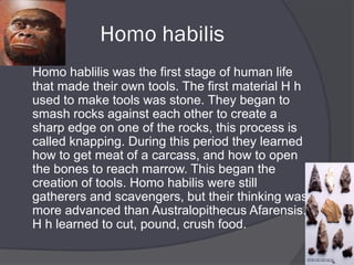 Hayley_ tools through the ages | PDF