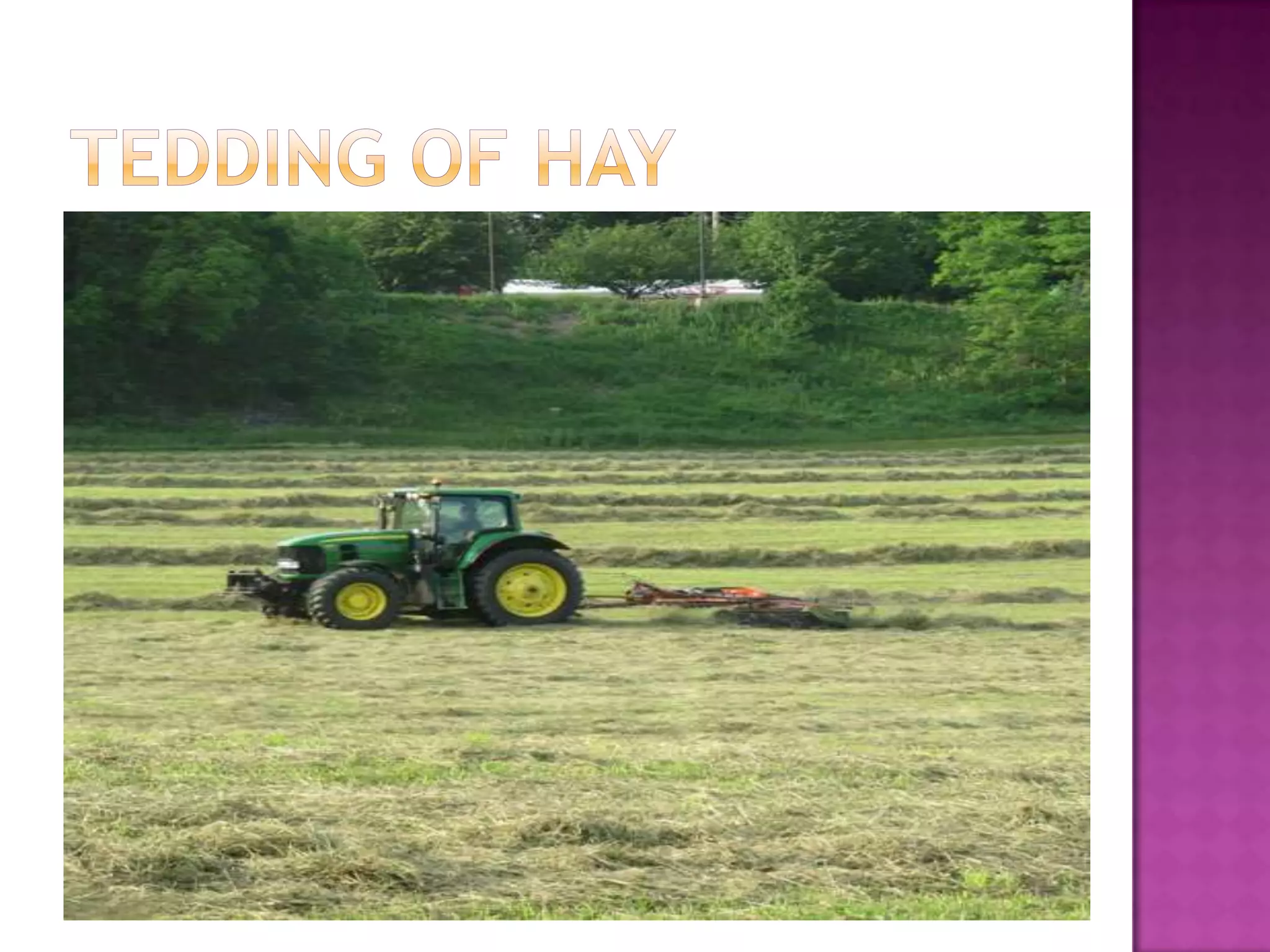 Hay making | PPTX
