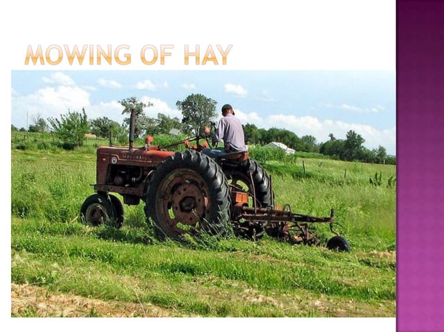 Hay making | PPTX | Agriculture | Industries
