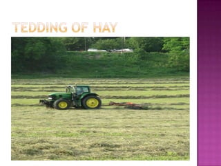 Hay making | PPTX