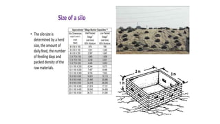 Hay, Silage, UMMB block, Hay treatment.pdf