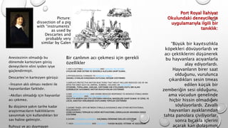 Hayvan Hakları ve Deney Hayvanları Etiği | PPTX