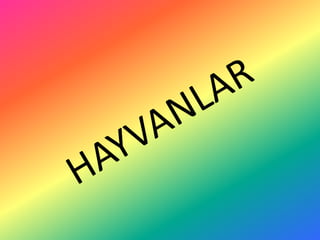 Hayvanlar | PPTX