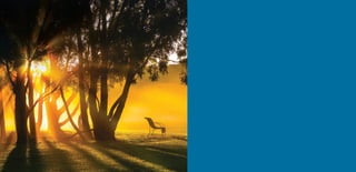 Hayyan by Alef Group in Barashi E-Brochure | PDF