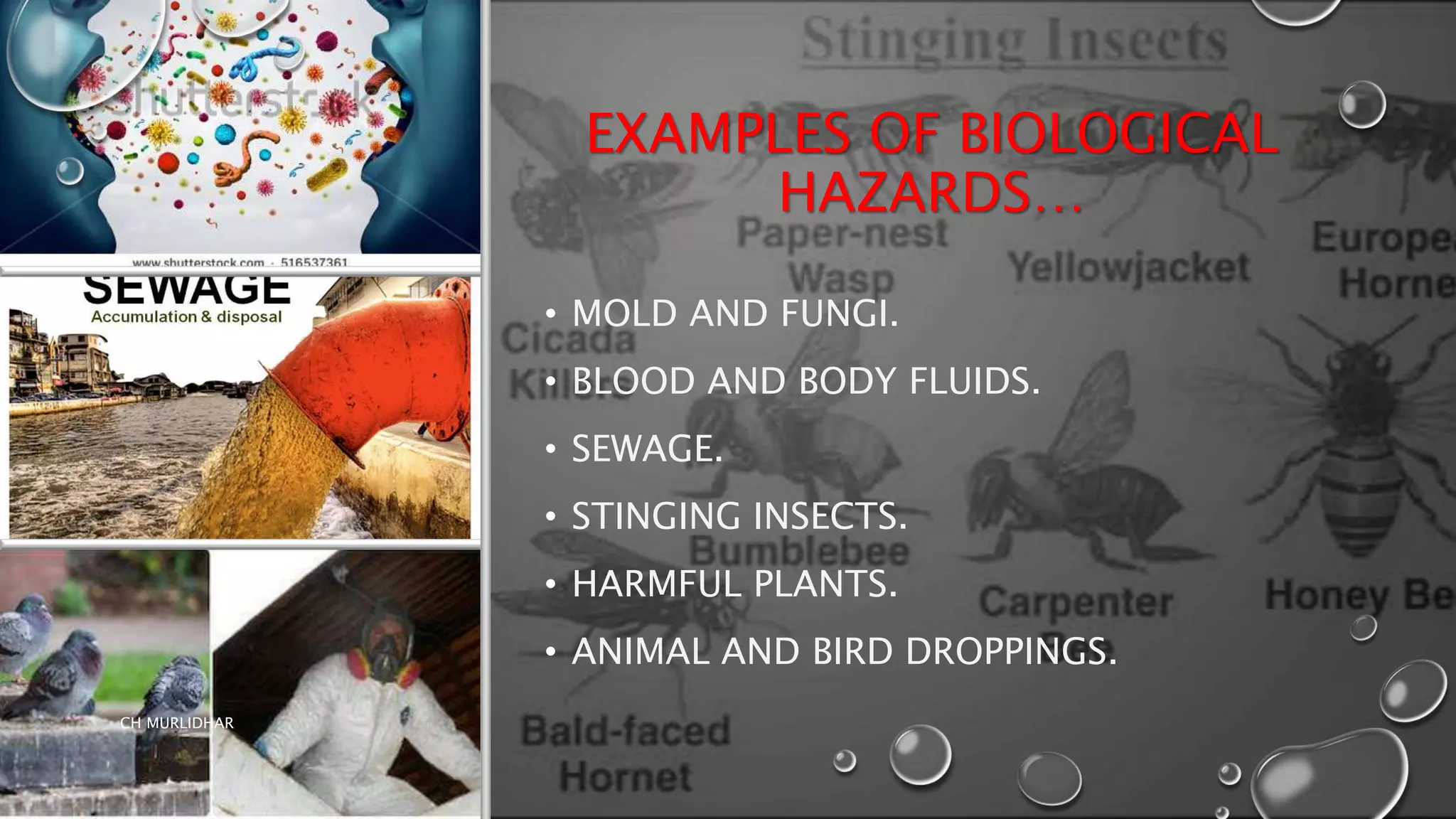 what is Hazard..? | PPTX