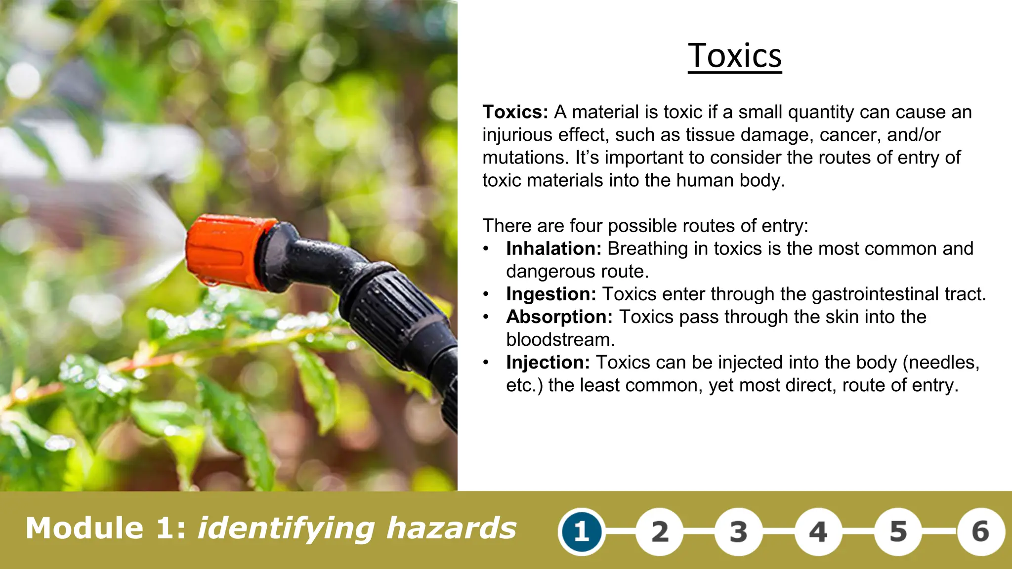 hazard identification and classification | PPTX