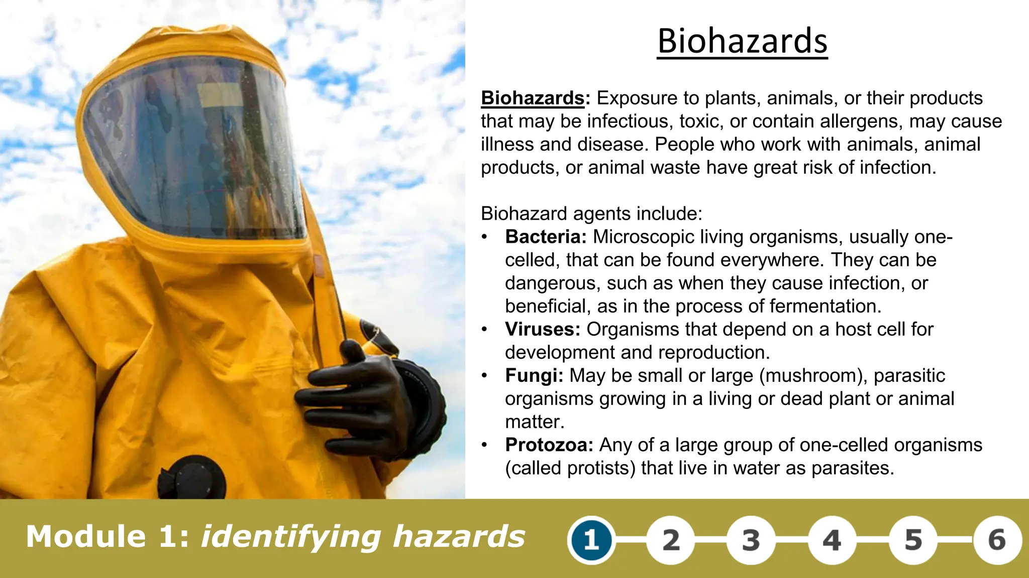 hazard identification and classification | PPTX
