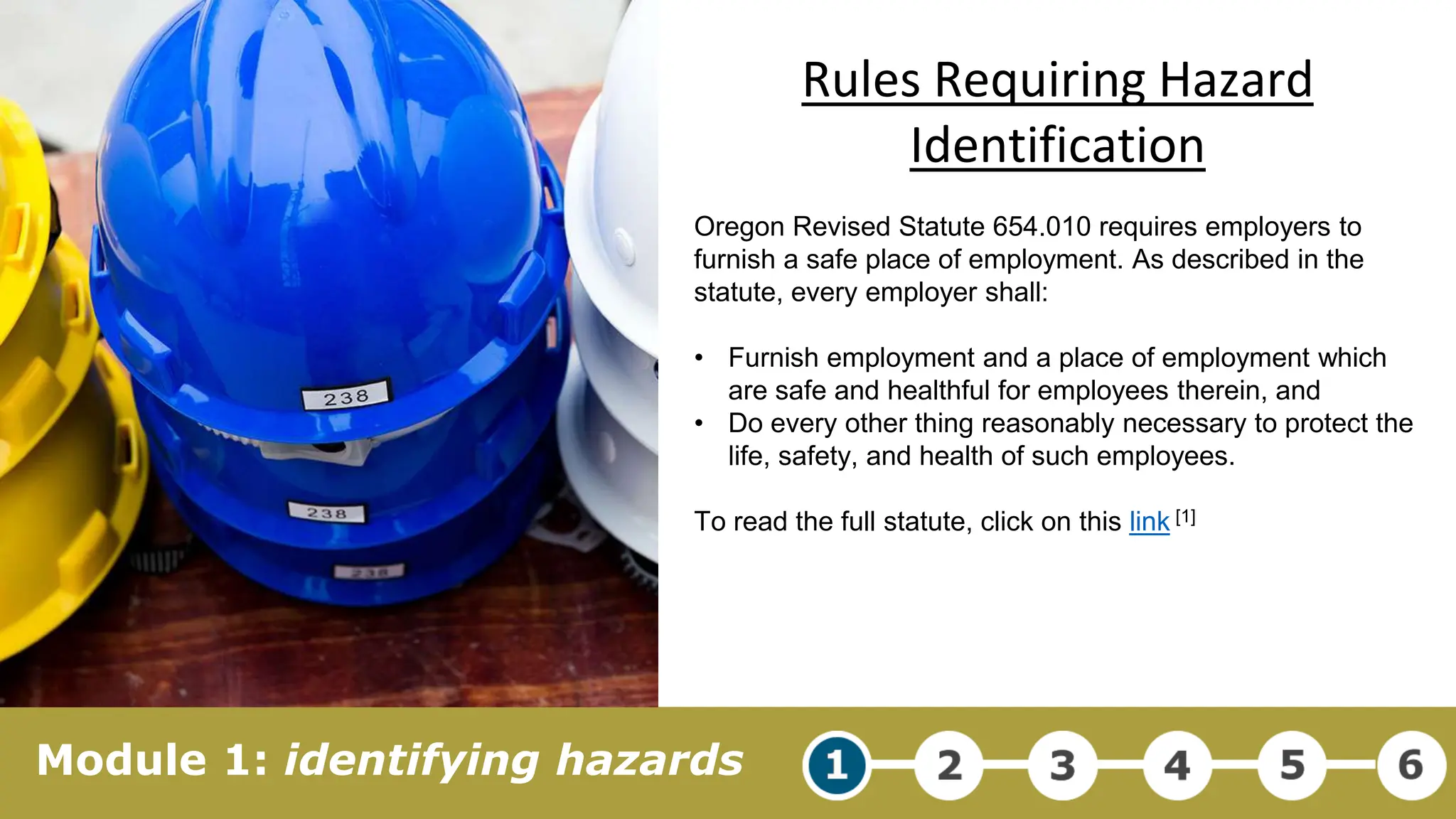 hazard identification and classification | PPTX
