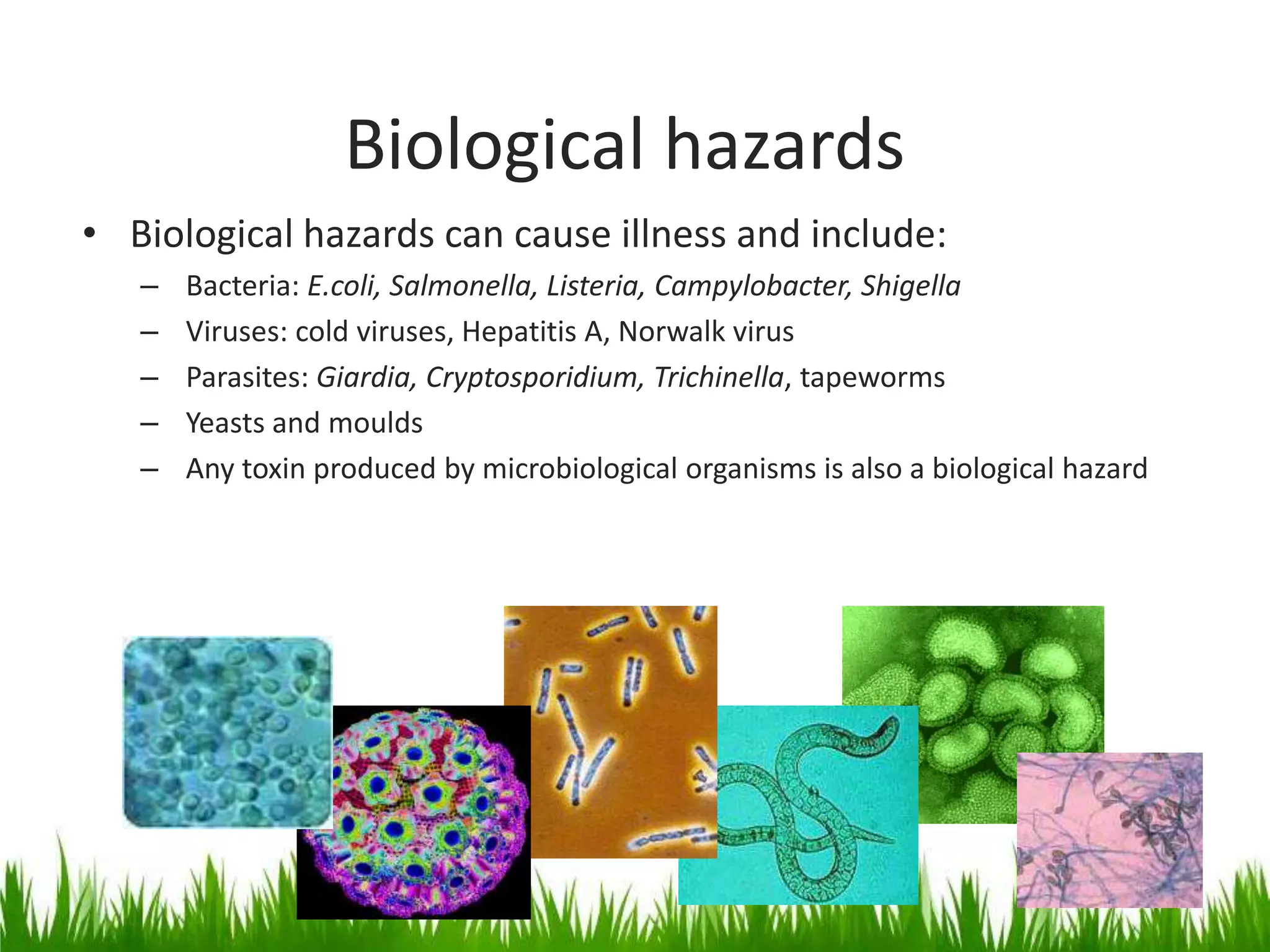 Hazard analysis 1 | PPTX