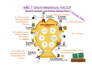 Hazard analysis and critical control point | PPT