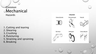 Hazard and control 1 | PPTX | Injuries | Diseases and Conditions