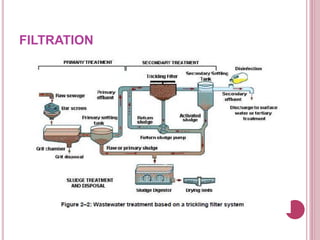 Hazard and risk management | PPTX